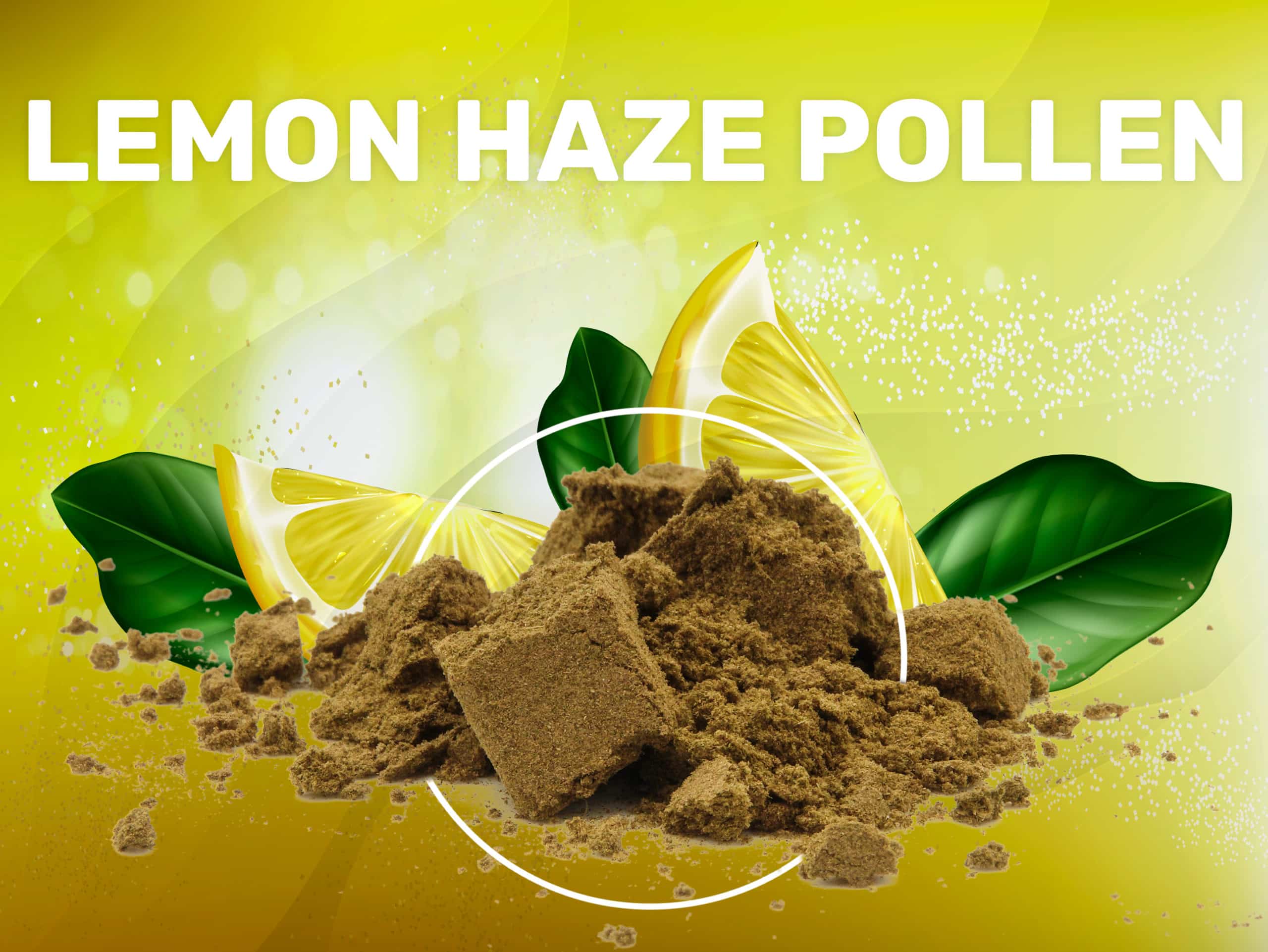 LEMON HAZE POLLEN CBD - Quality CBD hash | Weedzy.com
