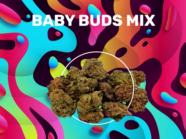 Baby Buds Premium mix CBD - CBD smalls | Weedzy.com